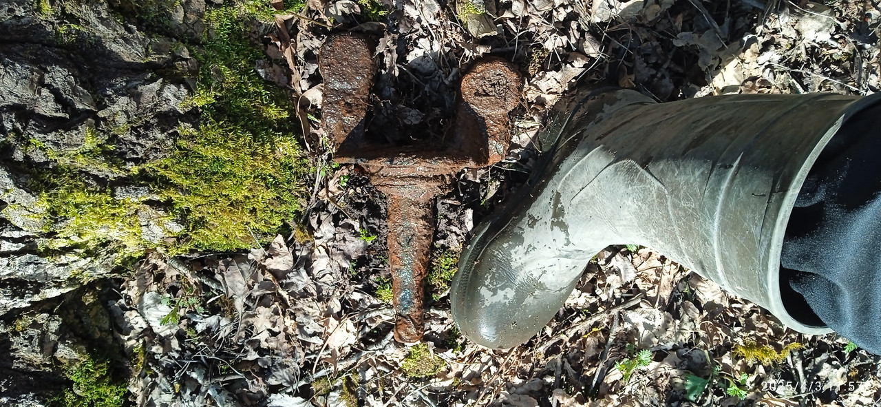 IMG 20250403 115722 — Postimages