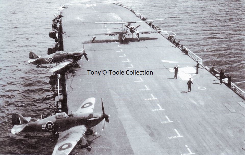 1/32nd FLY Sea Hurricane Mk.IIc, 825 NAS Fighter Flight, HMS Vindex ...