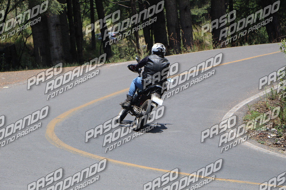 IMG 8446 wm 7158013 899999999 watermarked — Postimages