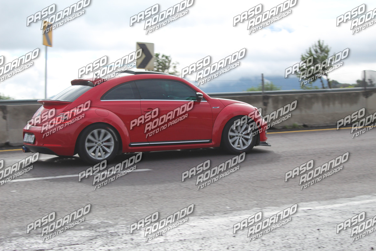 IMG 6546 wm 47268 09999999963 watermarked — Postimages