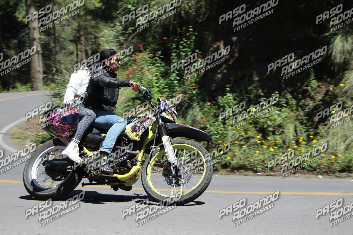 IMG 6710 wm 21288435 599999998 watermarked — Postimages