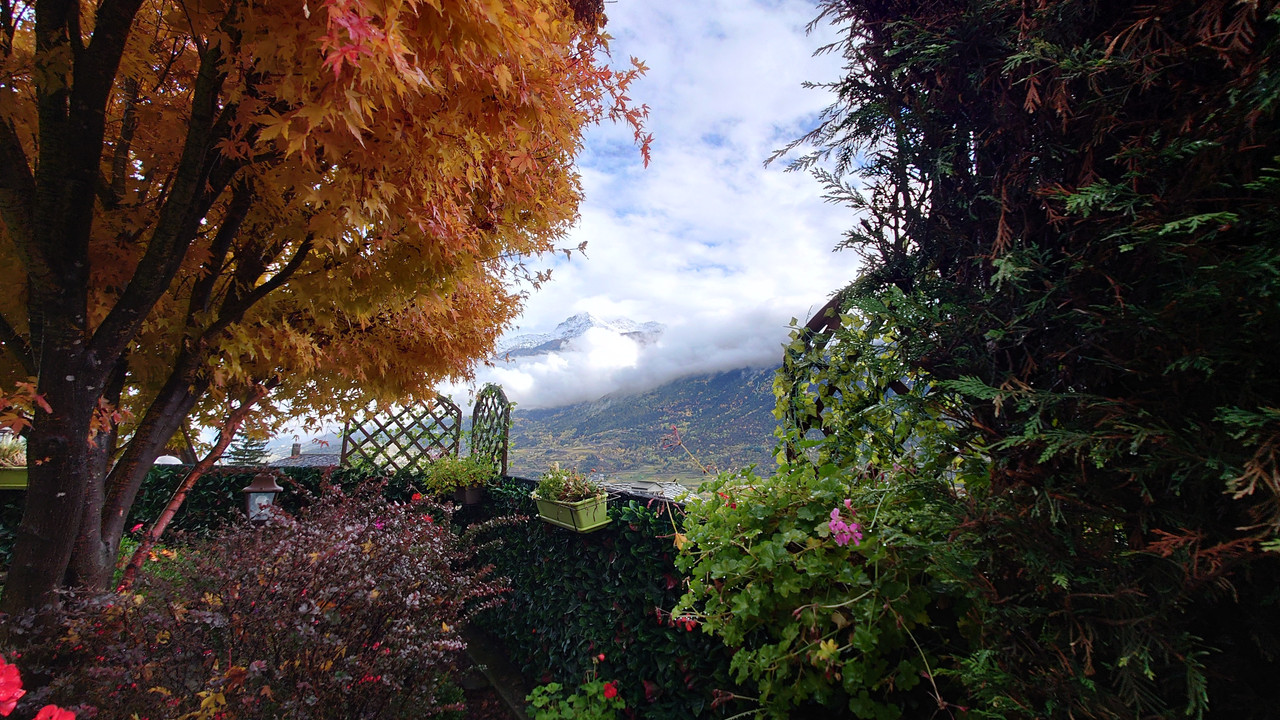 20211101 135355 — Postimages