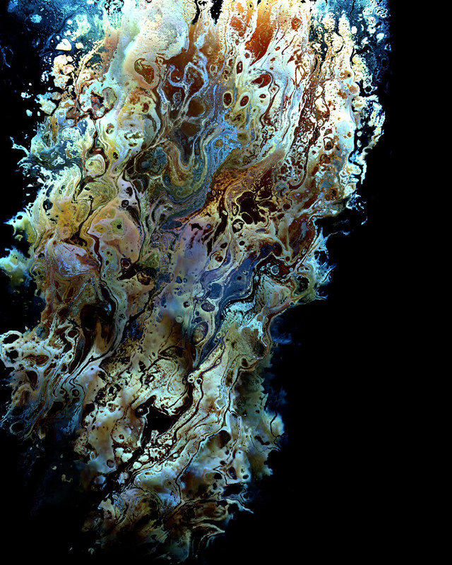 Trypophobia Coral, Karl Honett, [1124x1405] : r/ArtPorn