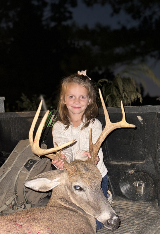 IMG 2639 — Postimages