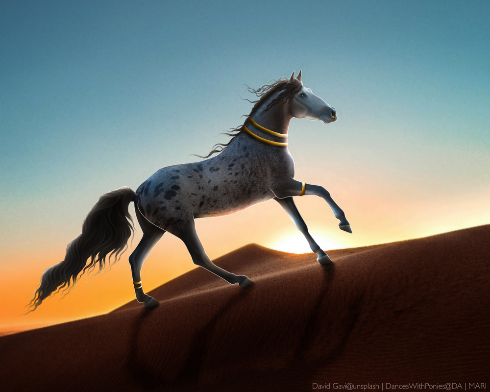 Horse Eden : Sunset Gallop | Sep 25th | CLOSED