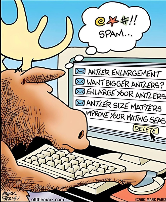 Screenshot 20240812 141857 Substack — Postimages