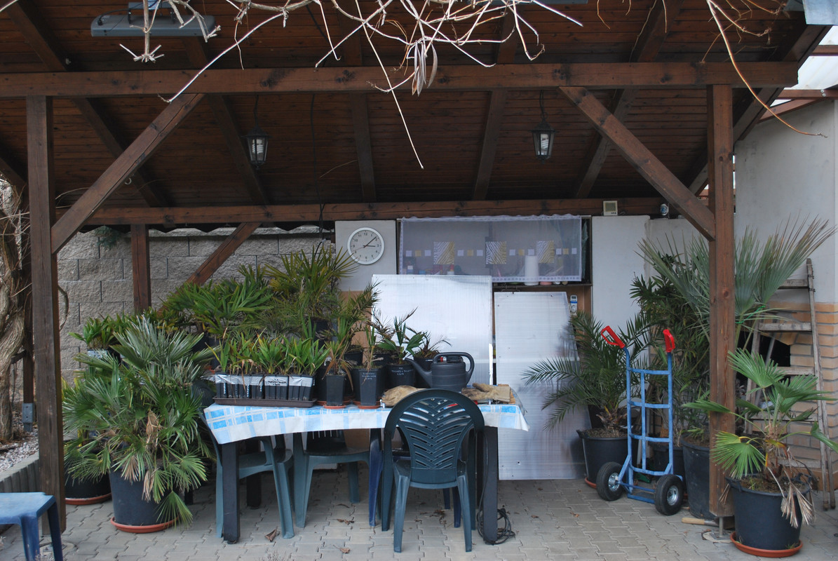 DSC 0049 — Postimages