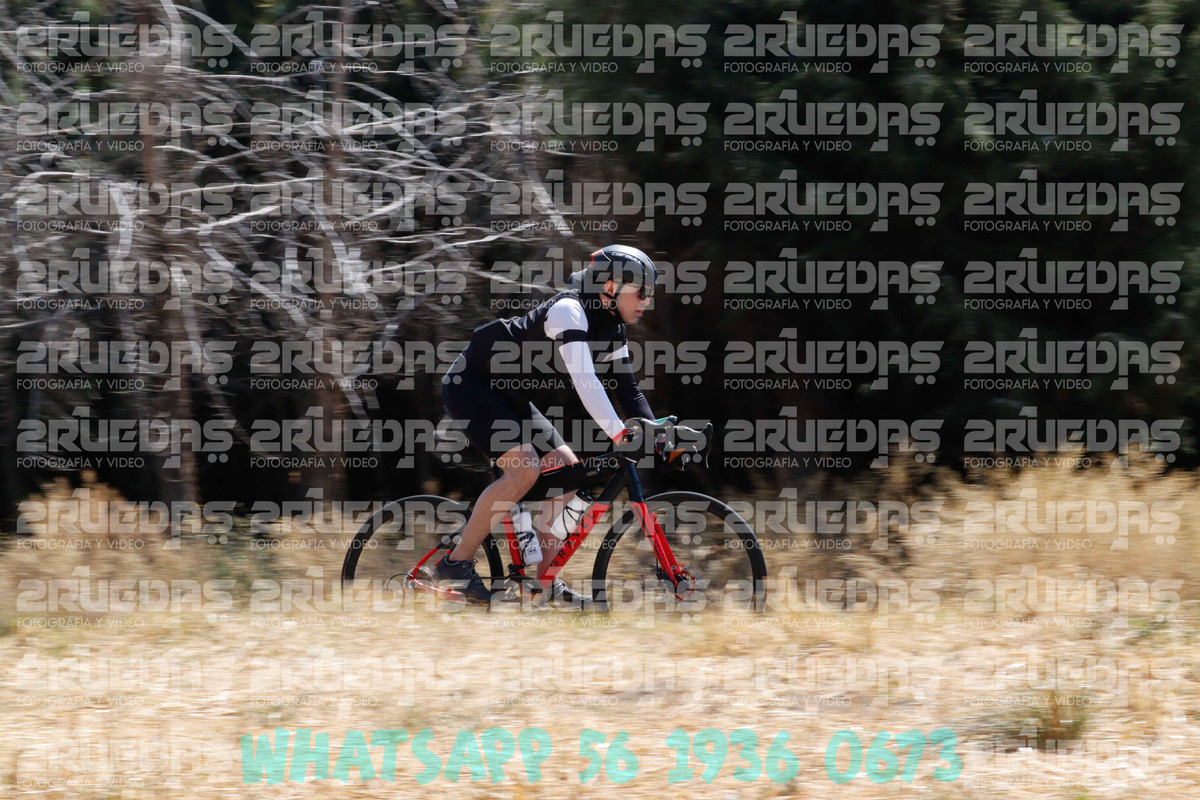 MG 0353 — Postimages