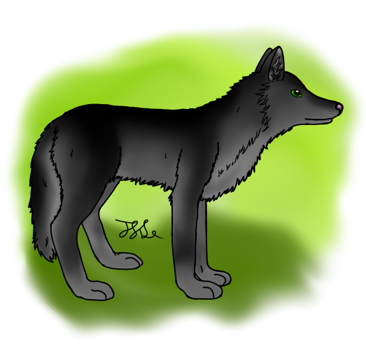 Wolf Play : HIdden World Adopts~Rooms~