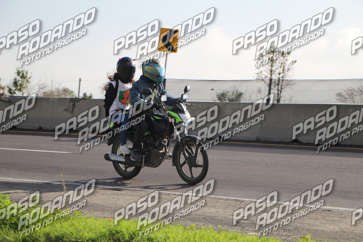 IMG 6546 wm 57055 29999999888 watermarked — Postimages