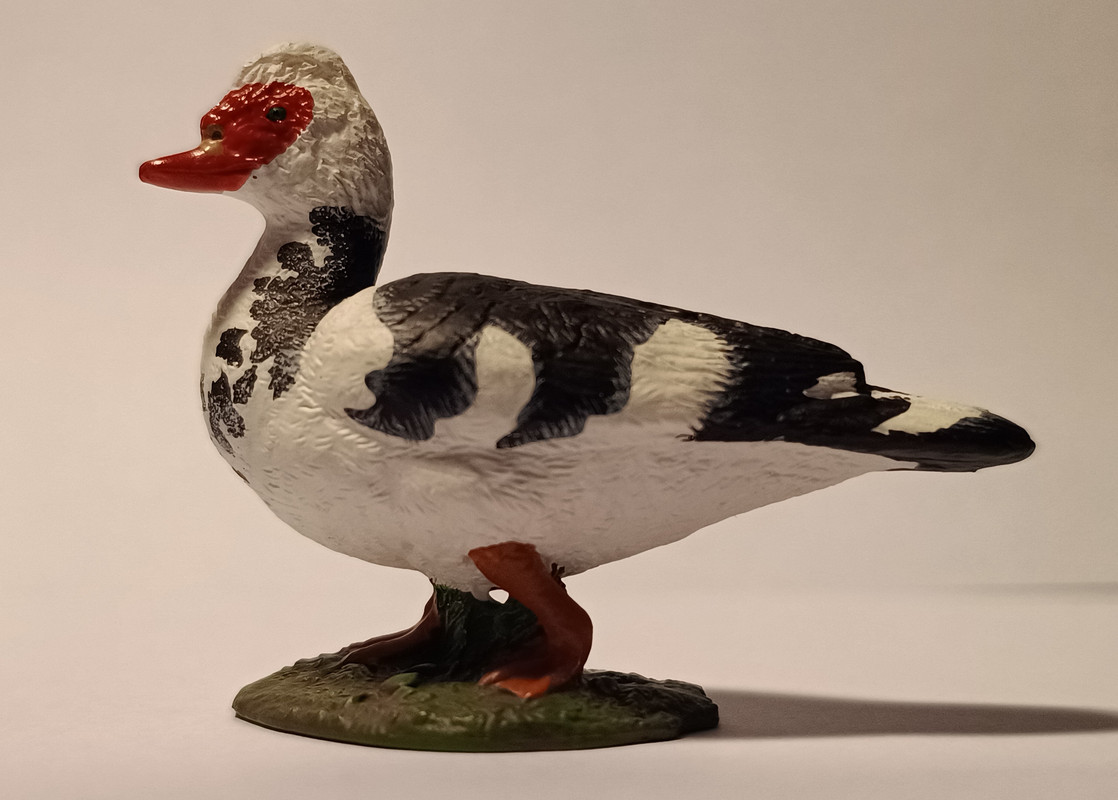 Muscovy Duck Papo 51189 2023