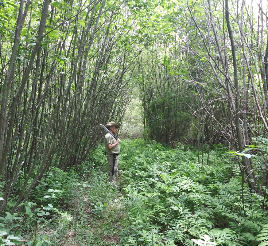 JD On Trail Machetti1 B — Postimages