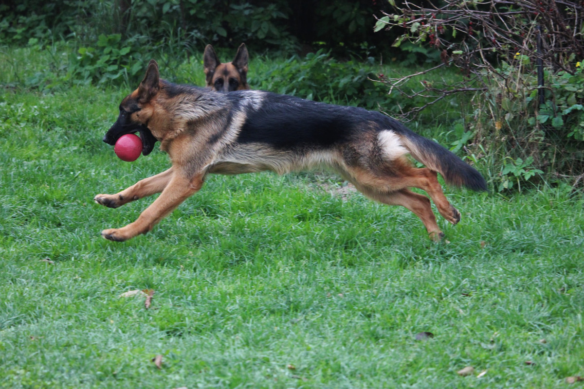 IMG 0801 — Postimages