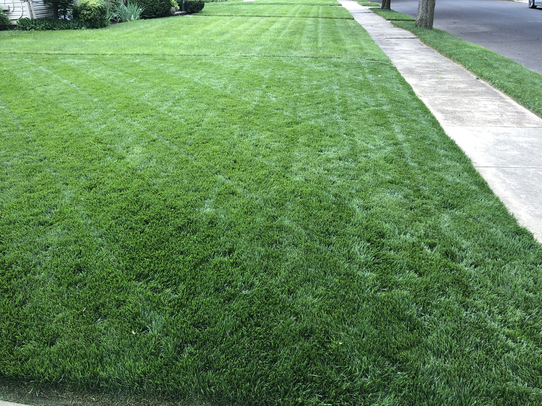 AD4 B906 C 4 E3 E 4171 8471 2 A10 C25 A7 B1 F — Postimages