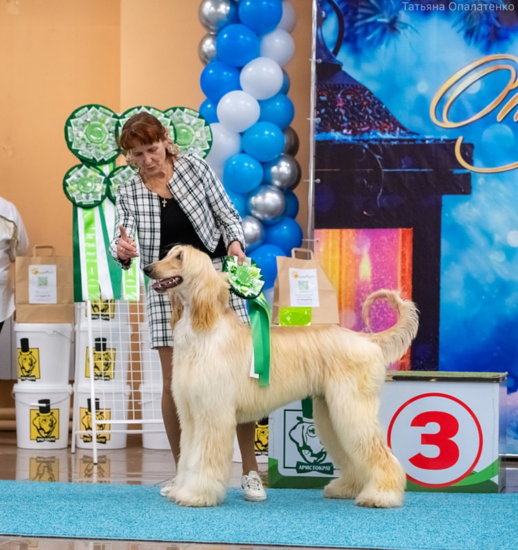 DSC 7358 — Postimages