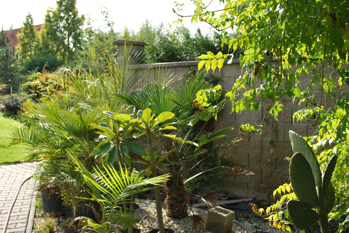 DSC 0037 — Postimages