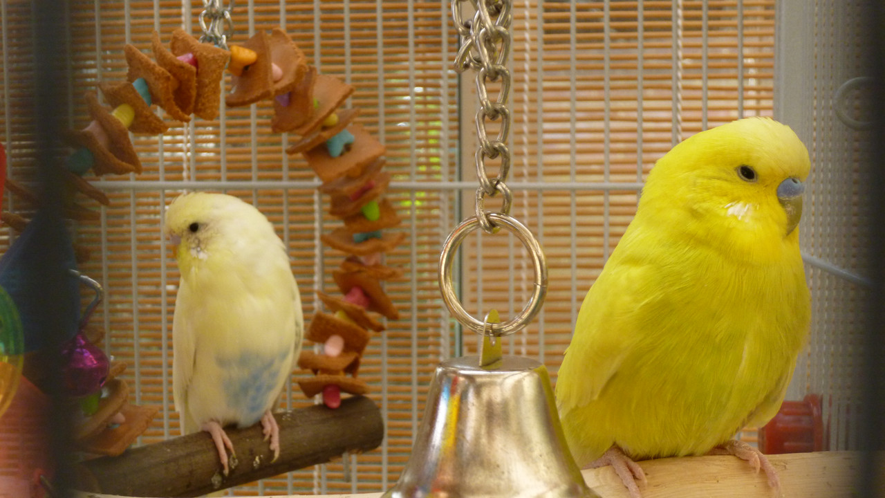 P1020292 — Postimages