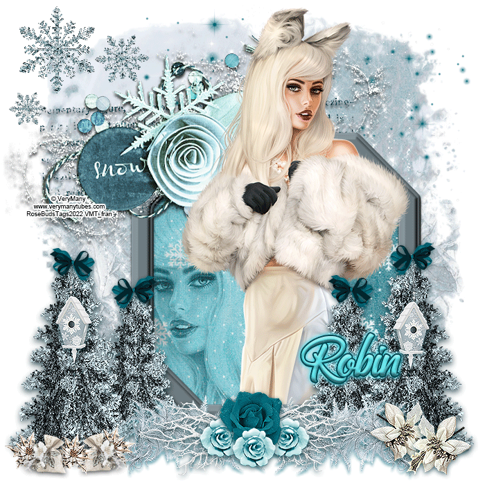 Robin — Postimages