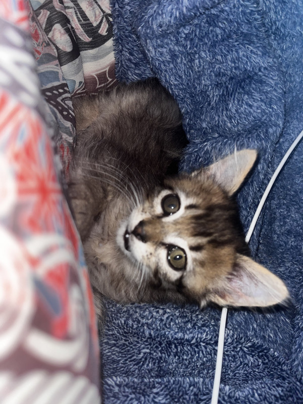 77 C0 FBDE 8189 467 E A0 AB BCEC836358 D0 — Postimages