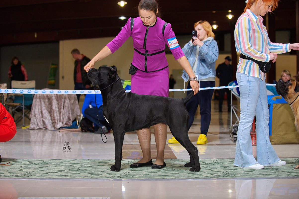 IMG 0029 (2) — Postimages