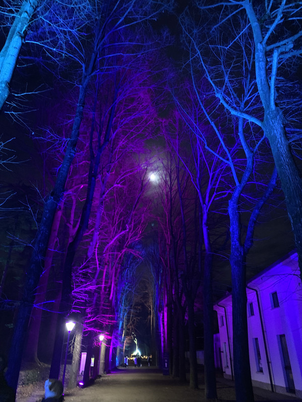 IMG 3389 — Postimages