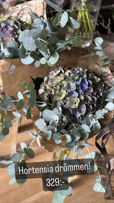 750 FDF0 A 81 ED 4 FF8 8 A2 A CD2 A48 B61 D13 — Postimages