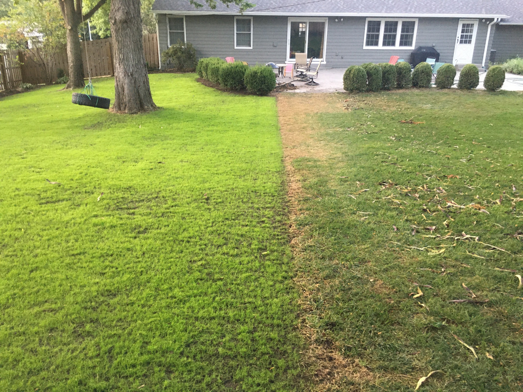 IMG 7003 — Postimages