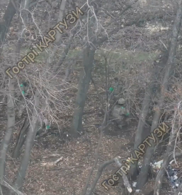 Screenshot 20241116 111325 Telegram — Postimages