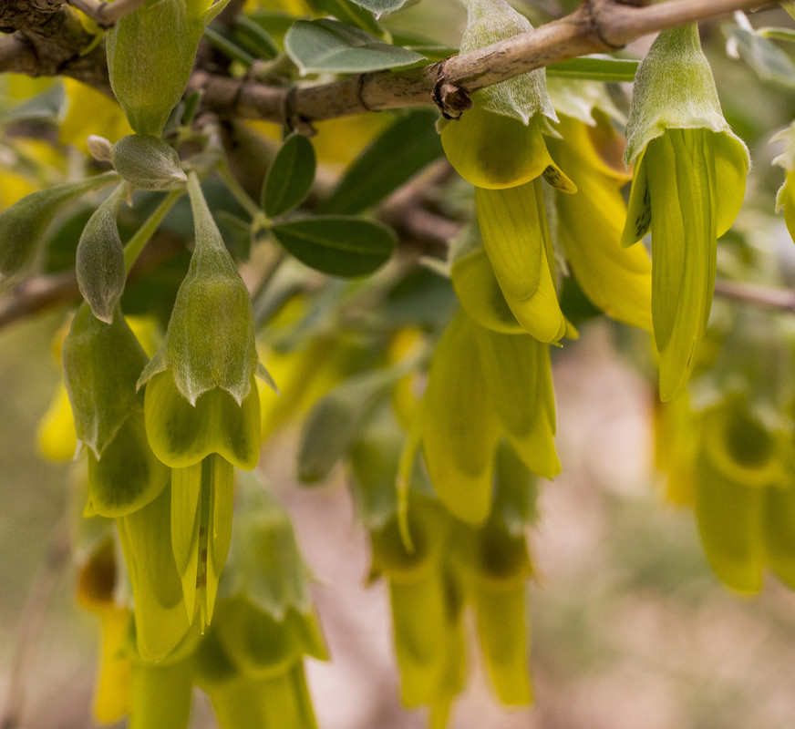 IGP8328 FORO — Postimages