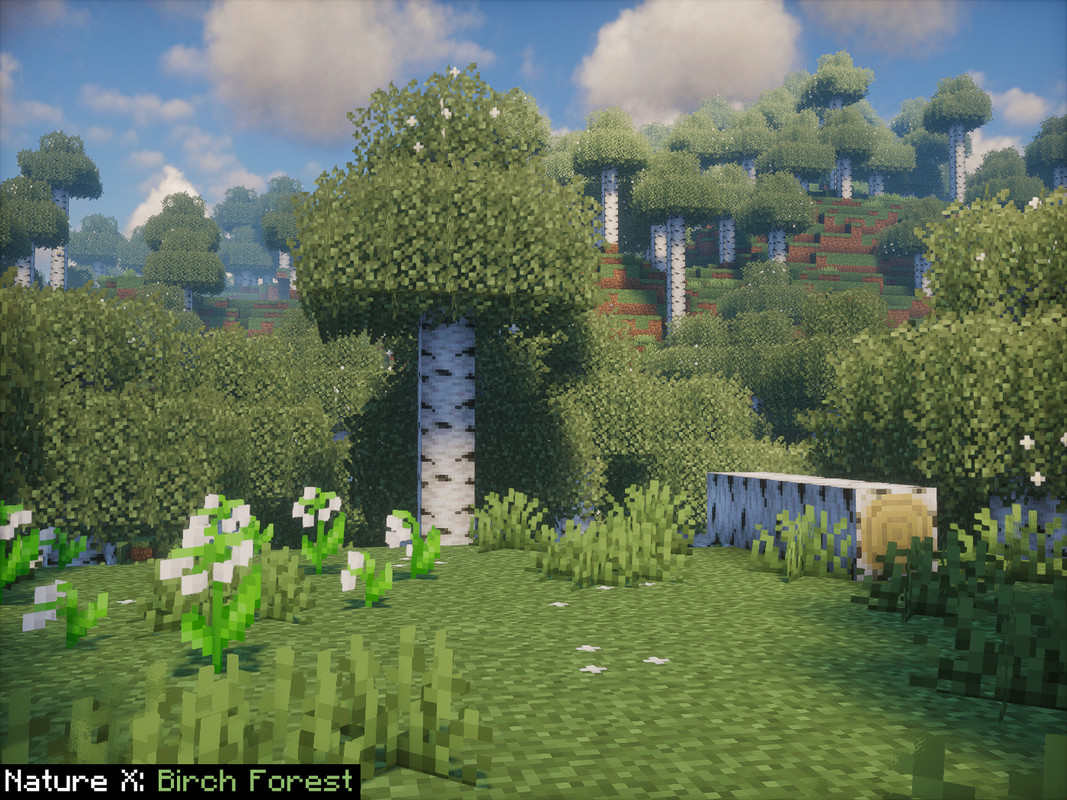 Nature X - Minecraft Resource Packs - CurseForge