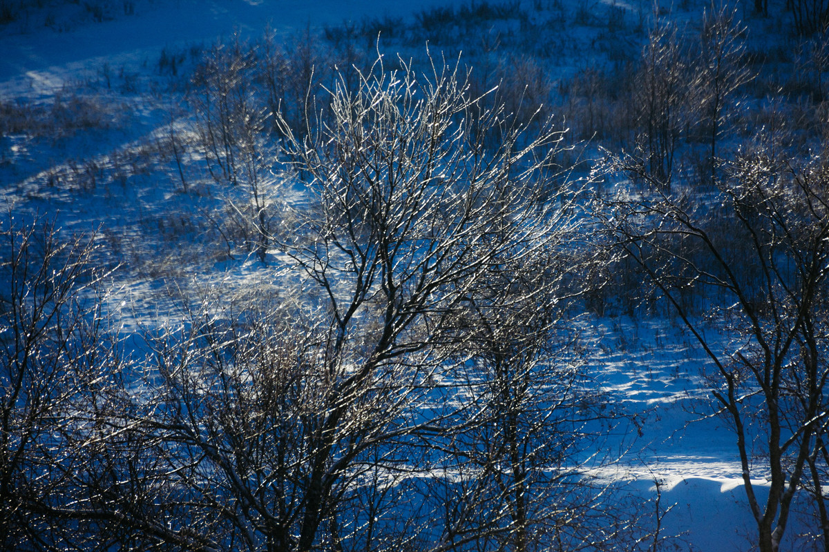 0044 2022 11 30 1 Ds m3 DMR 0079 — Postimages