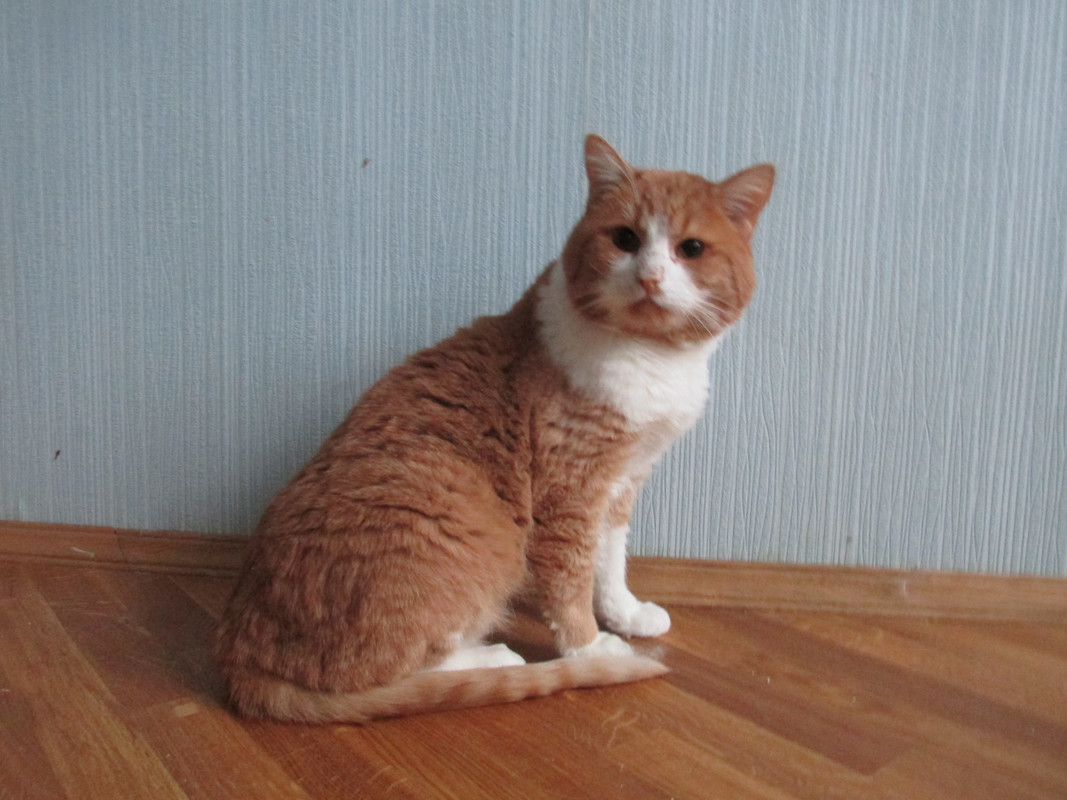 IMG 3389 — Postimages