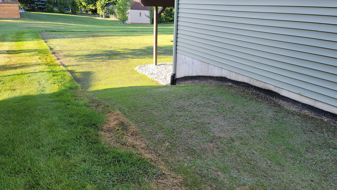 20200821 185504 — Postimages