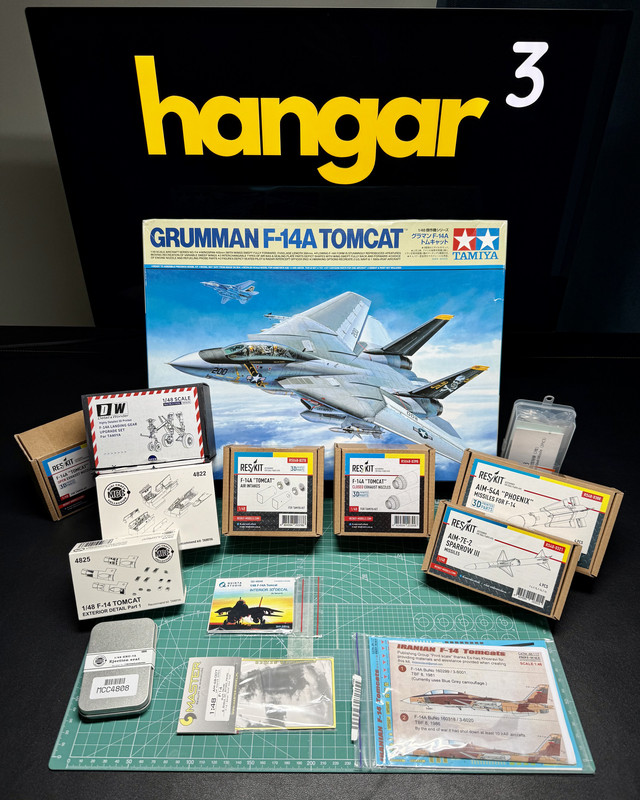 1/48 F-14A "Persian Cat" turning into "Frankenstein" - Work in Progress ...