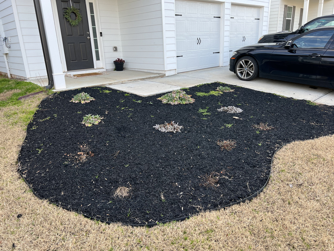 F8 D976 F7 96 EE 4 BA6 A8 B3 887 E0 F5 E6 FF3 — Postimages