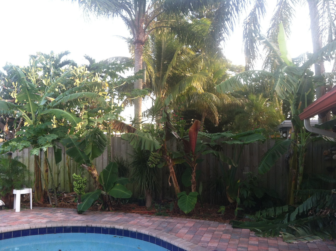 IMG 2434 — Postimages