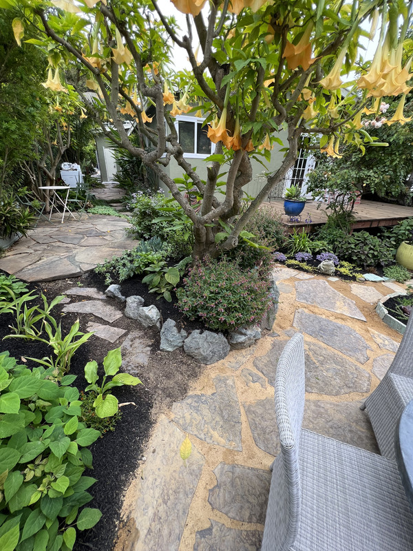 B55 F0 B6 D D0 FE 48 C2 B540 640 EA5 B7 B57 C — Postimages