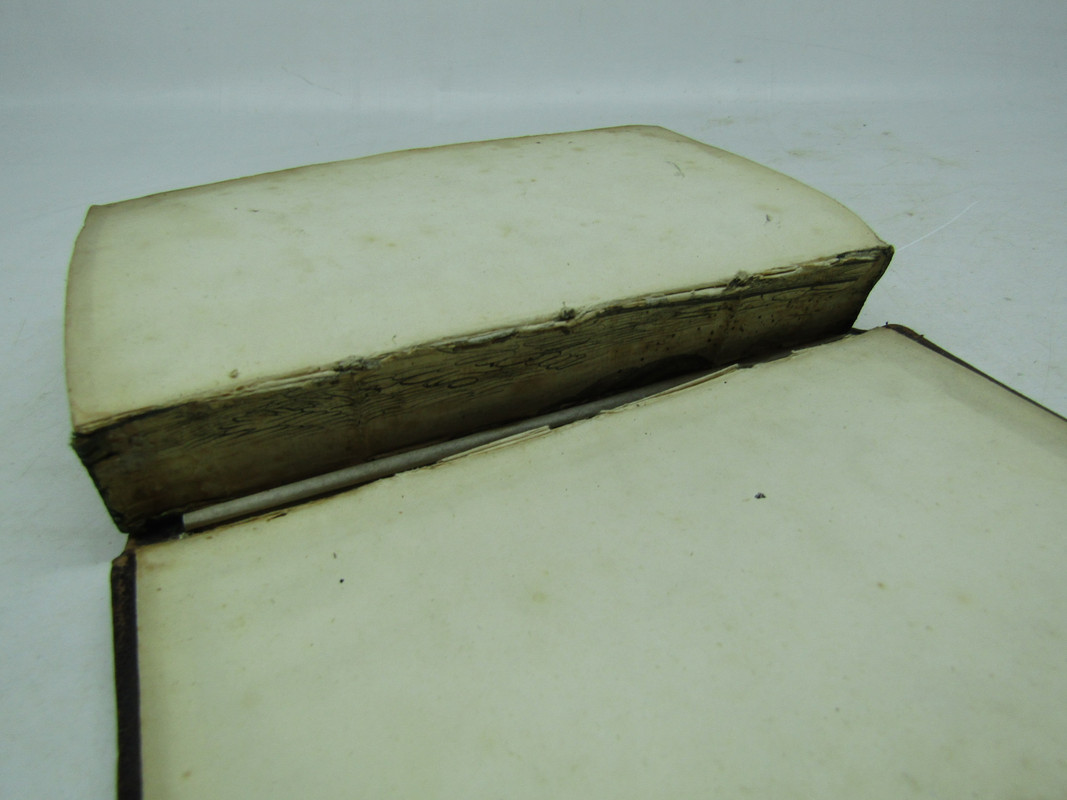 IMG 7742 — Postimages