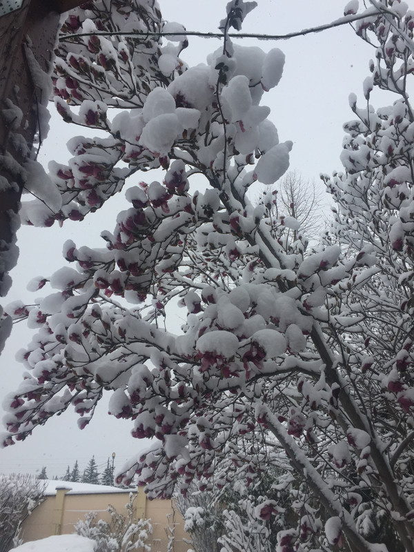 B5 BA976 F F181 444 B AA60 6318 A8553854 — Postimages