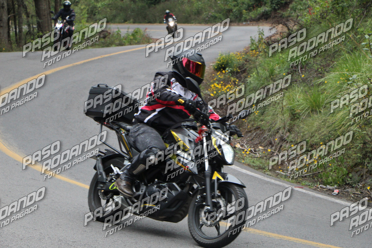 IMG 8971 wm 721294 watermarked — Postimages