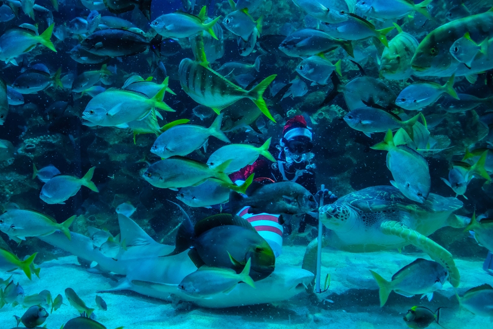 Aquaria KLCC, Kuala Lumpur: How To Reach, Best Time & Tips