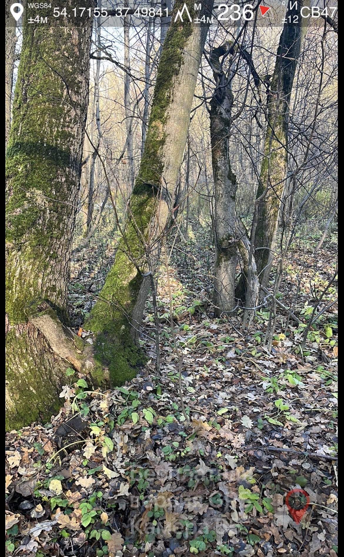 IMG 1862 — Postimages