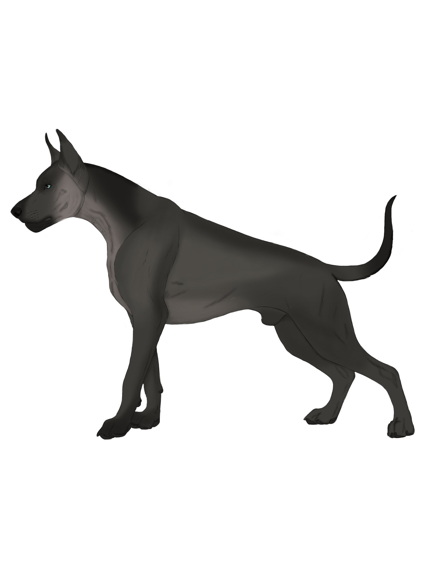 Royal smooth 1 — Postimages