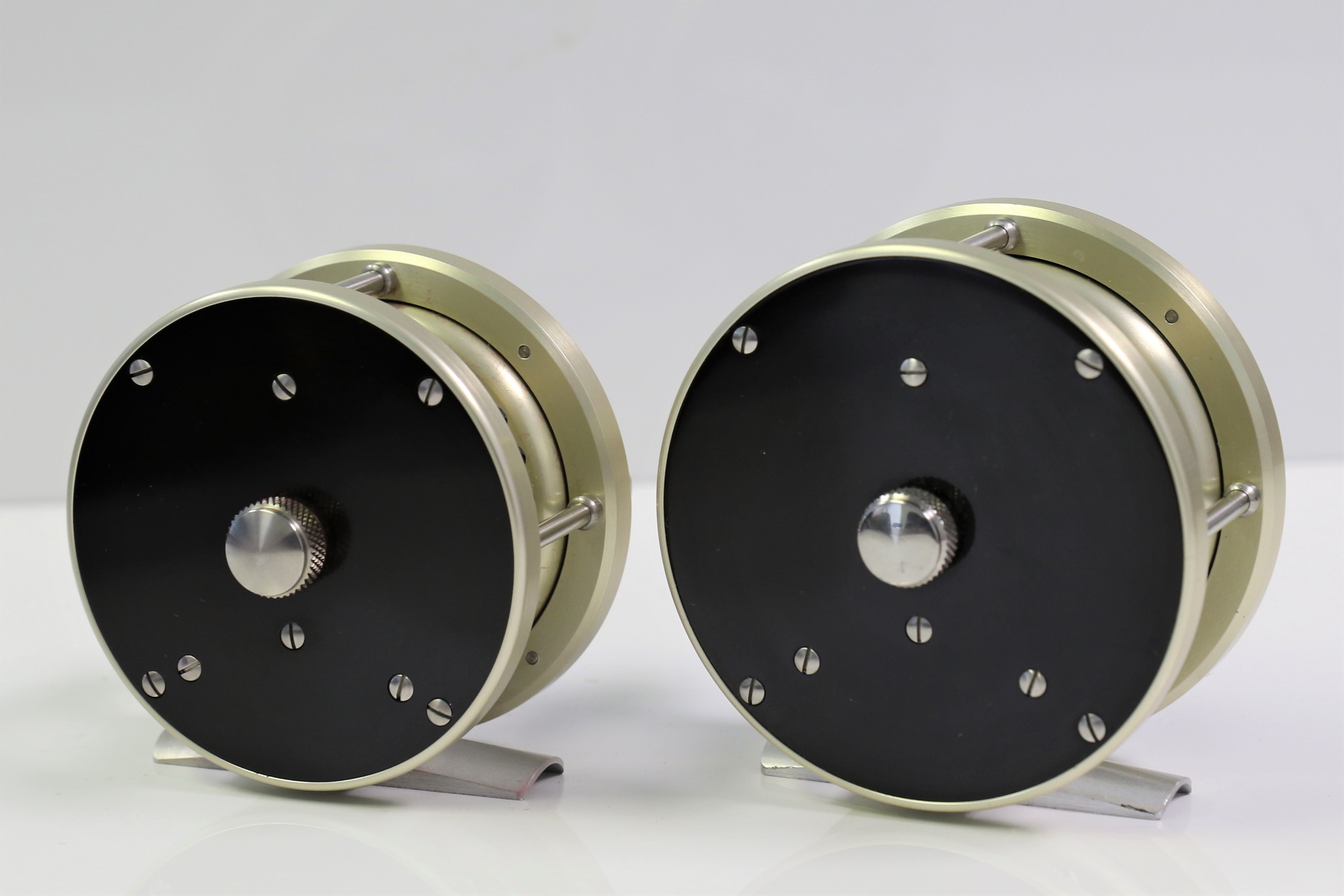 Saracione back view — Postimages