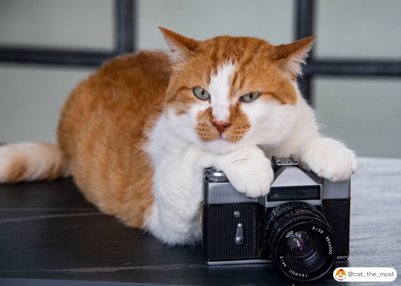 IMG 20220614 180310 367 — Postimages