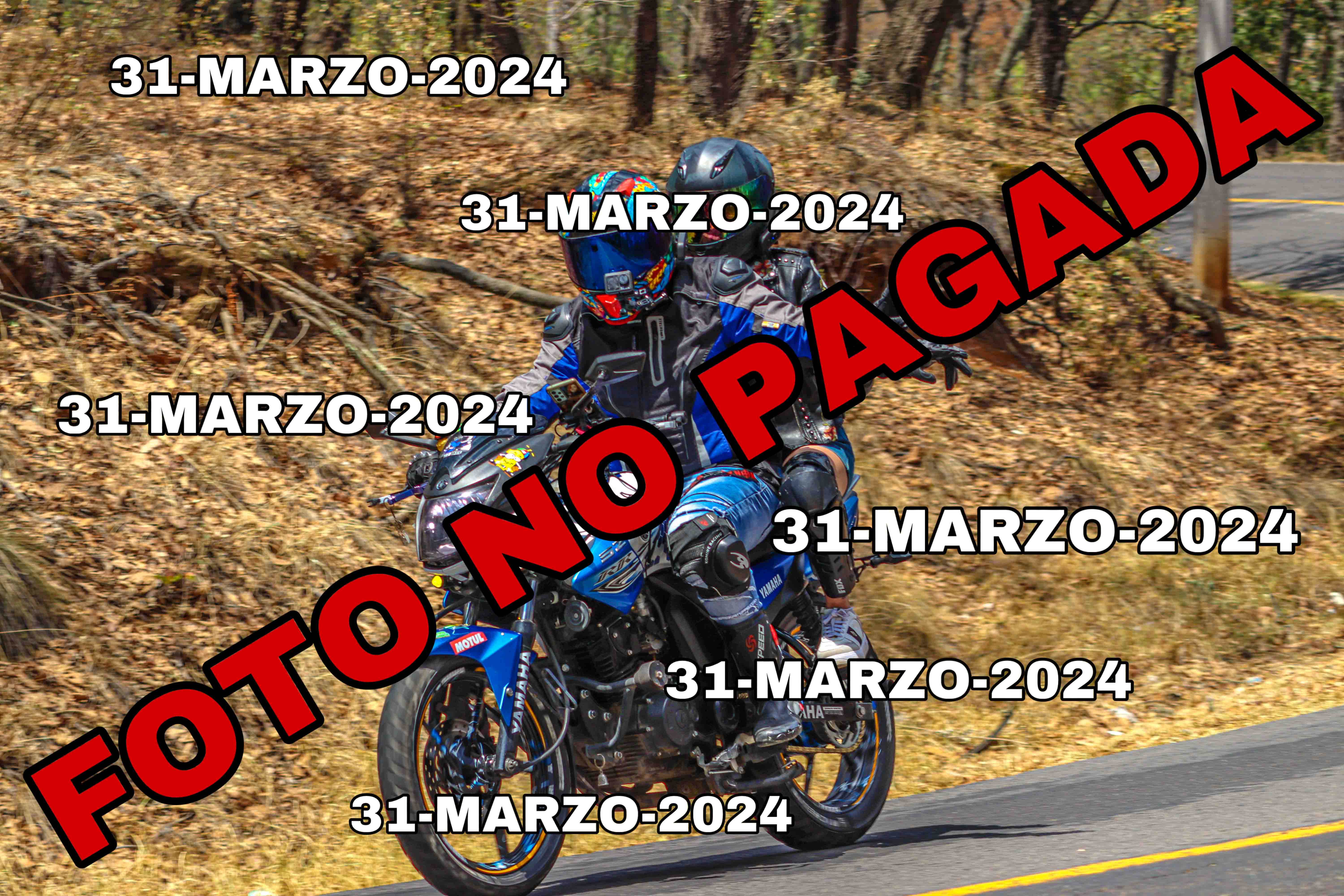 LC 146 — Postimages