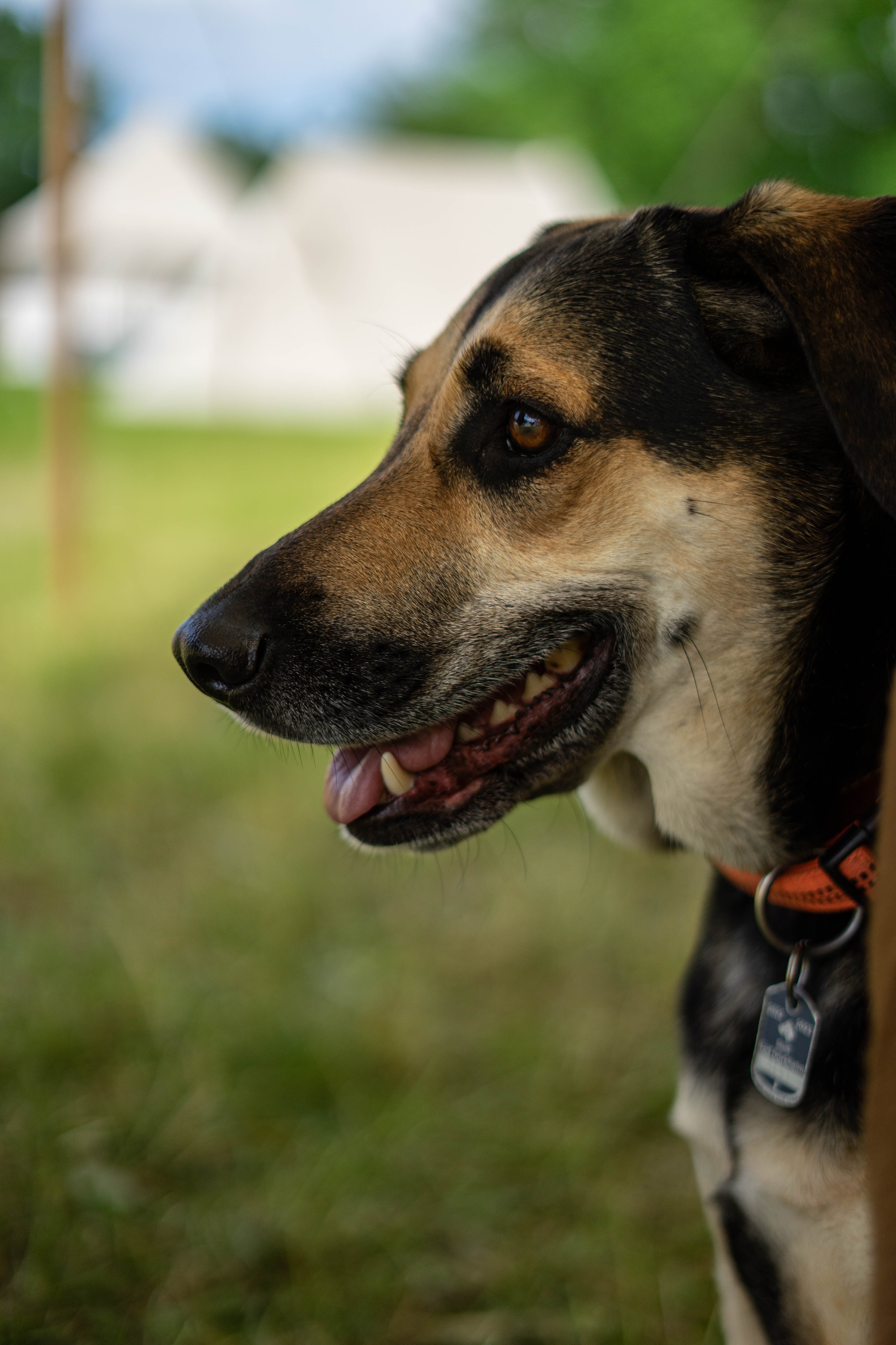 WO 1359 — Postimages