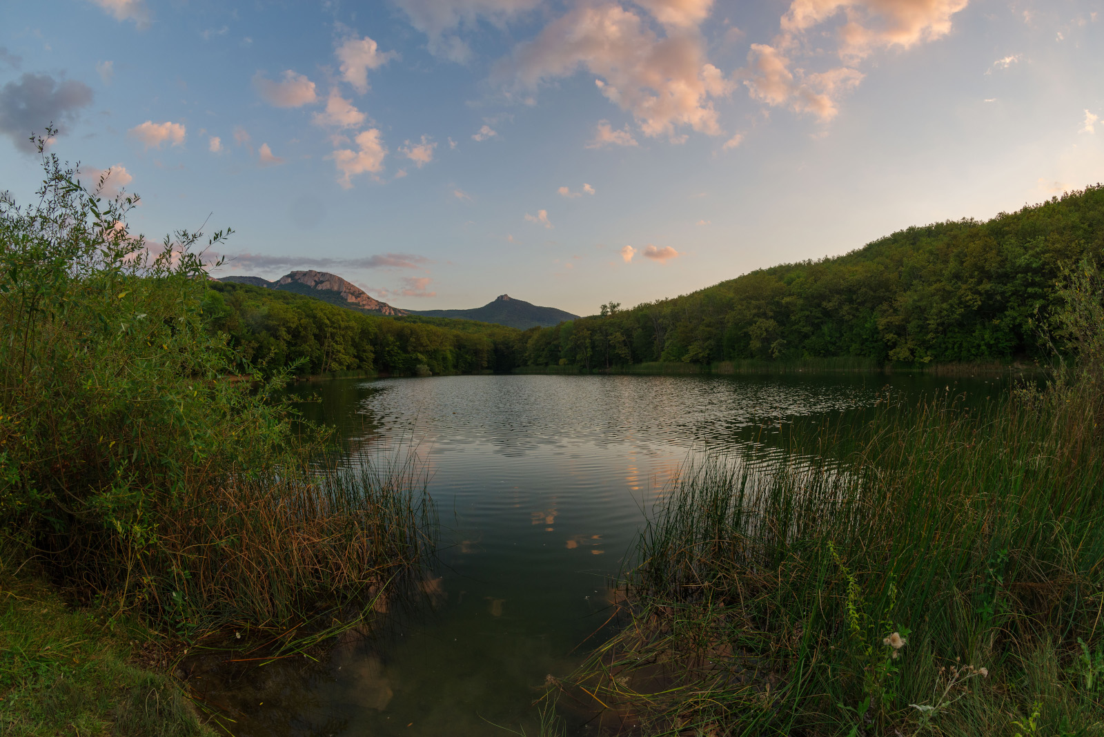 V0006604 1600 — Postimages