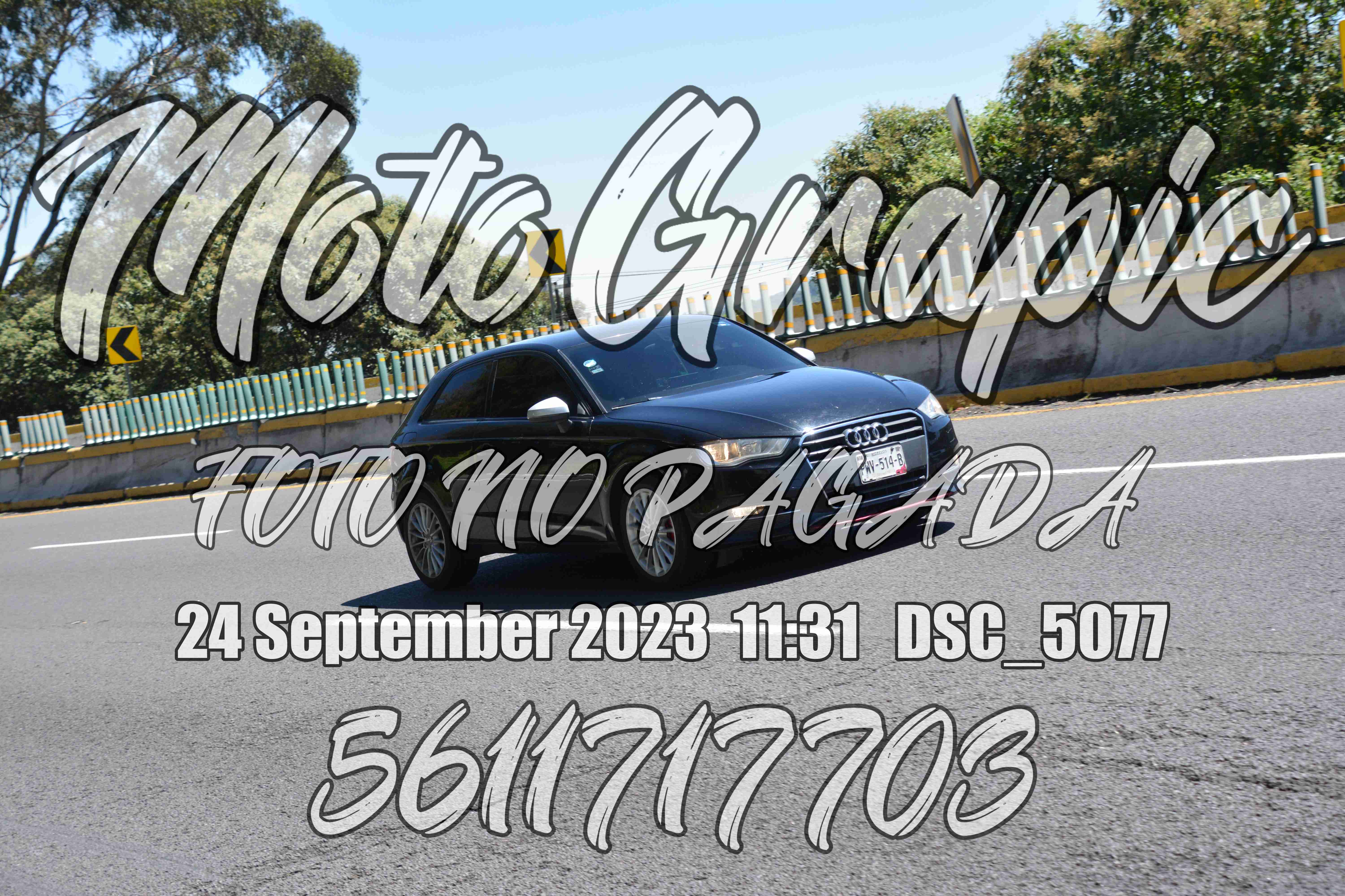 motgr DSC 5077 — Postimages