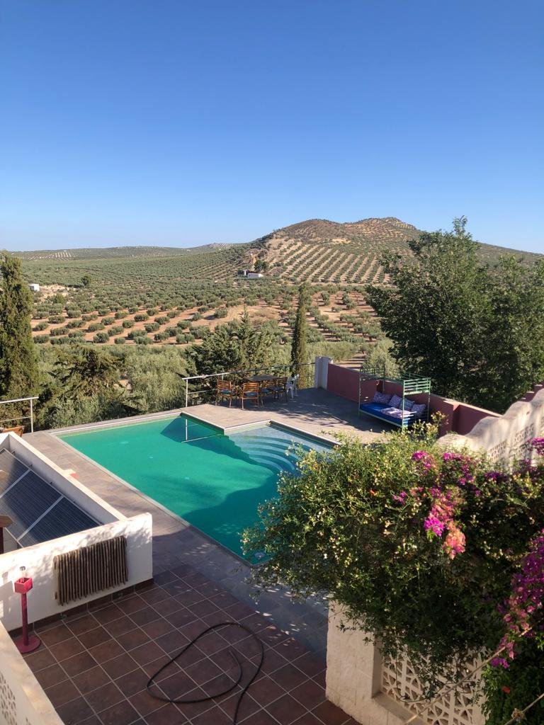 Aug 2023 Pool — Postimages